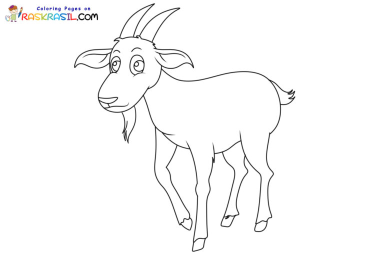 Coloriage Chèvres à imprimer