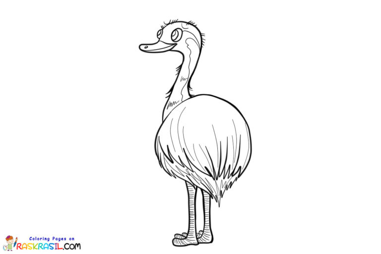 Australian Animals Colouring Pages