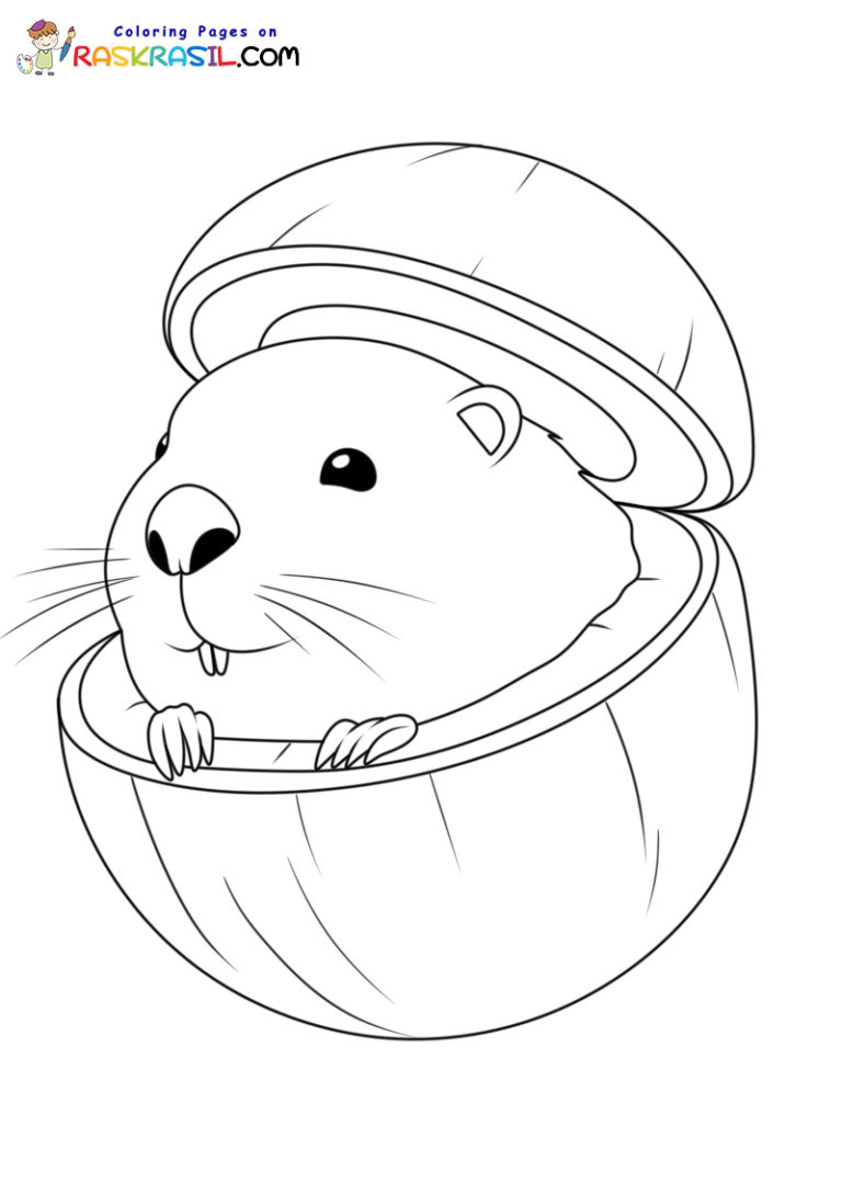 Disegni di Meme da Colorare