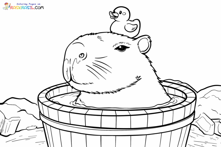 Capybara Coloring Pages | Free Printables