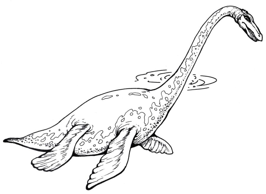 Desenhos Do Dinossauro Para Colorir Iimprima Gratuitamente