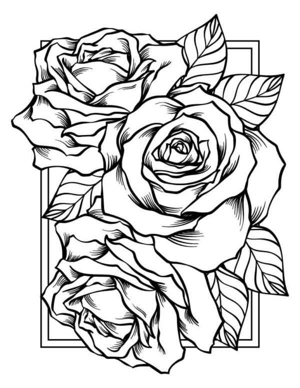 Rose Ausmalbilder | Drucken Sie die Blumenkönigin online