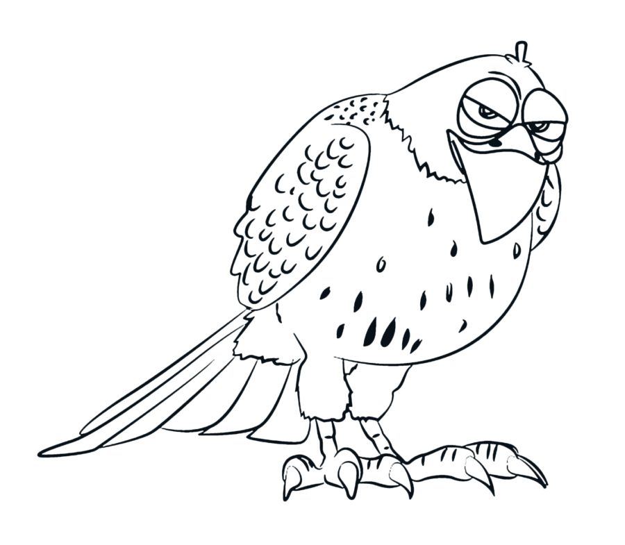 The Secret Life of Pets Coloring Pages. Print Them for Free!