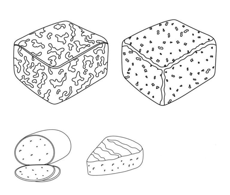 Cheese Coloring Pages