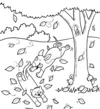 Dibujos de Otoño para colorear - 70 imágenes para imprimir gratis