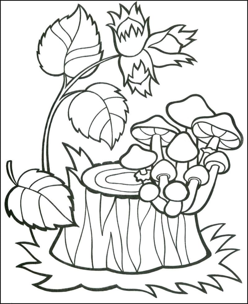 Desenhos de Outono para Colorir - 70 imagens para impressão gratuita