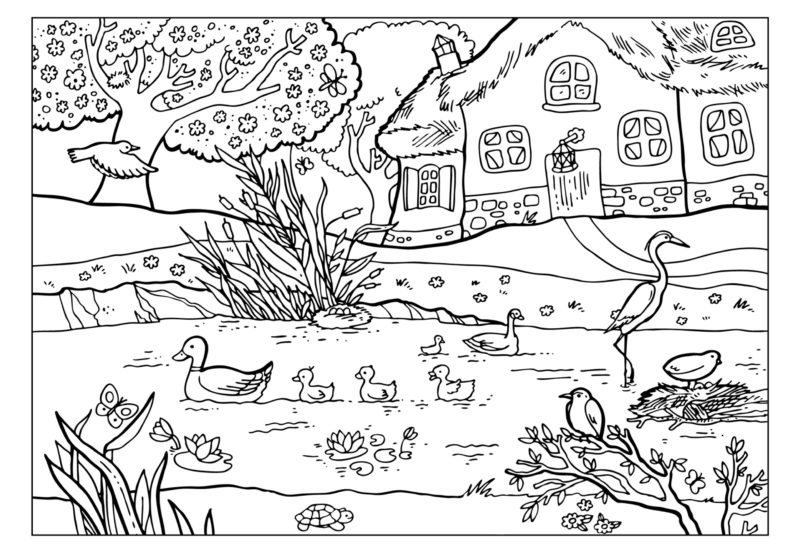 Disegni da colorare Natura. Paesaggio, foresta, montagne, mare, isola