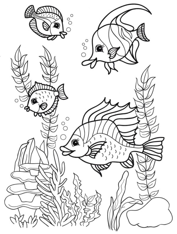 Coloriage Poisson - 100 images pour une impression gratuite