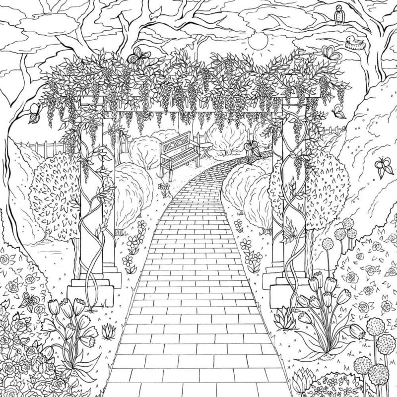 Scenery Coloring Pages for Adults | 60 Pictures Free Printable