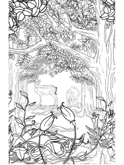 Scenery Coloring Pages for Adults | 60 Pictures Free Printable