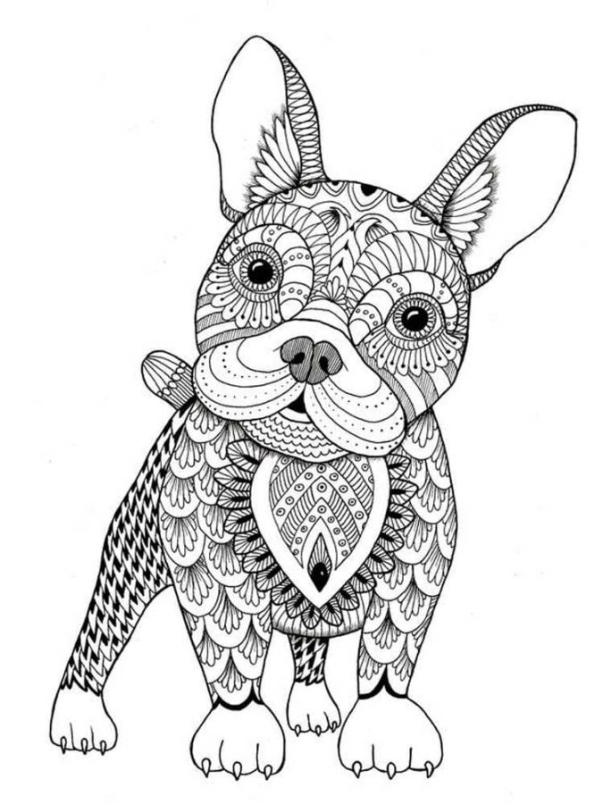 Animals Coloring Pages for Adults