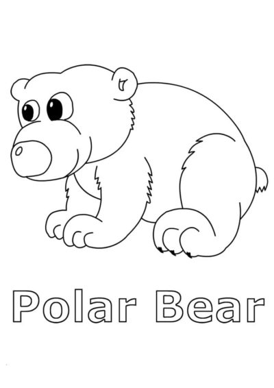 Dibujos de Animales del Ártico para Colorear