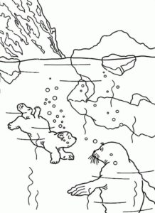 Dibujos de Animales del Ártico para Colorear