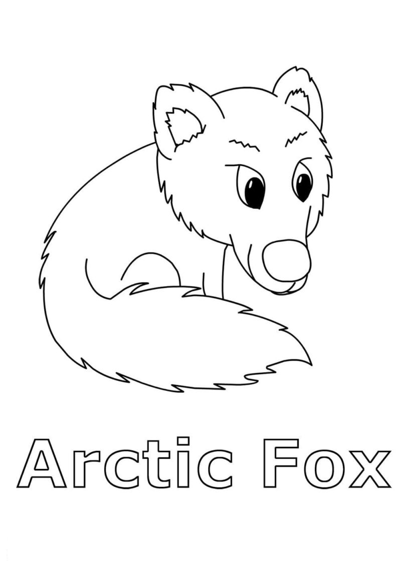 Dibujos de Animales del Ártico para Colorear