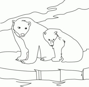 Dibujos de Animales del Ártico para Colorear
