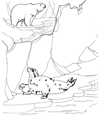Dibujos de Animales del Ártico para Colorear