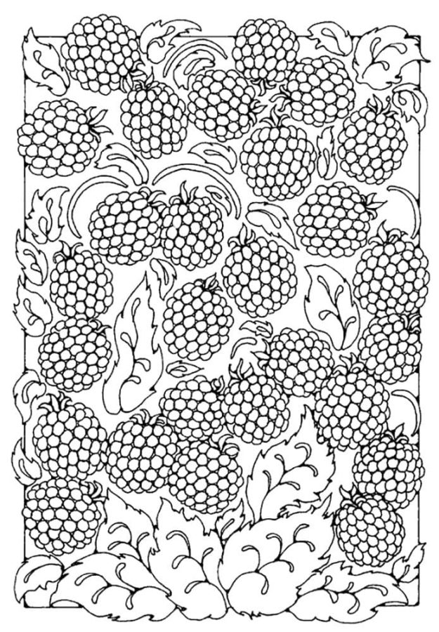 Berries Coloring Pages