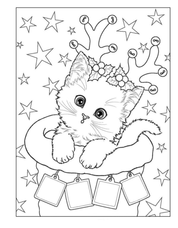 Christmas Cat Coloring Pages