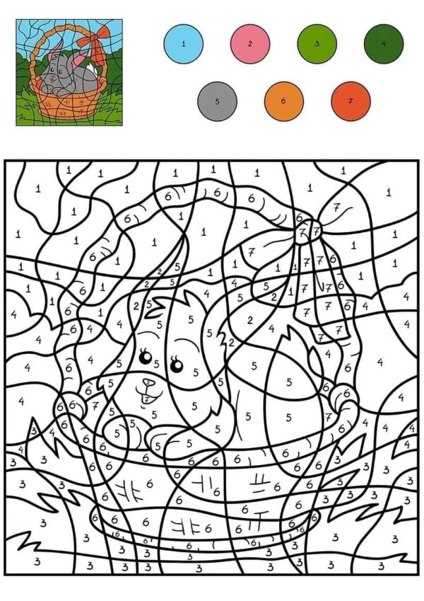 Color By Number for Adults | Free Printable