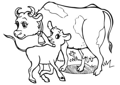 Disegni di Mucche da Colorare