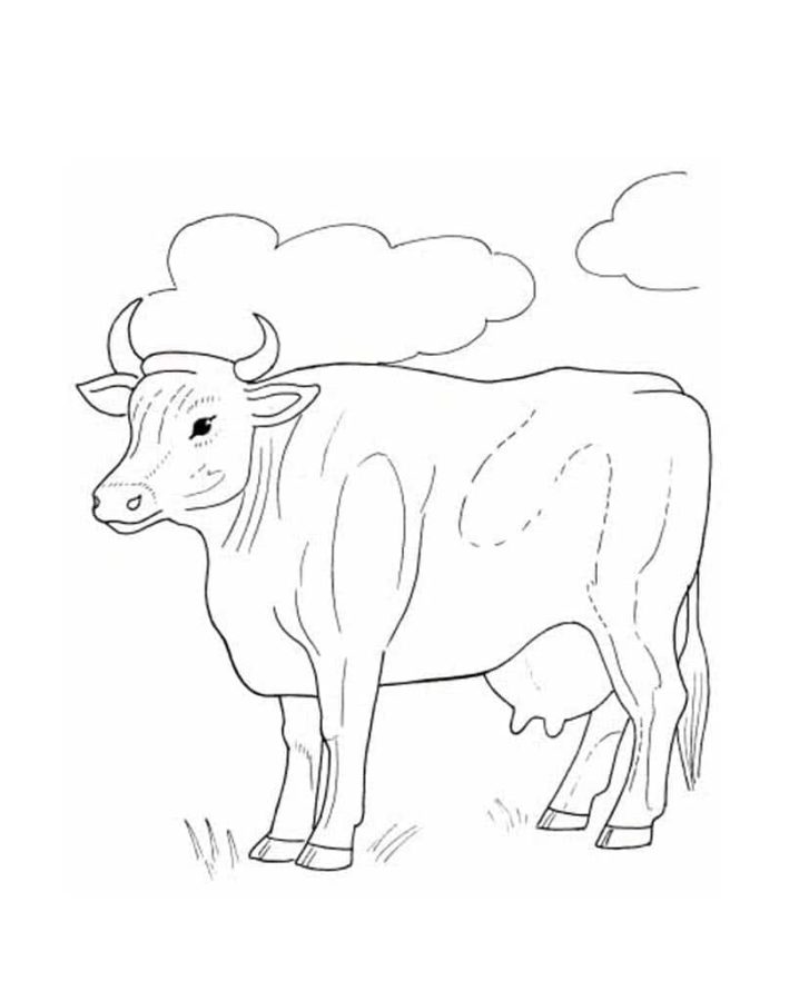 Coloriage Vache à imprimer