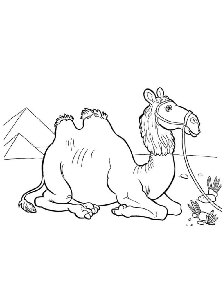 Dibujos de Desierto para Colorear - 70 imágenes para imprimir gratis