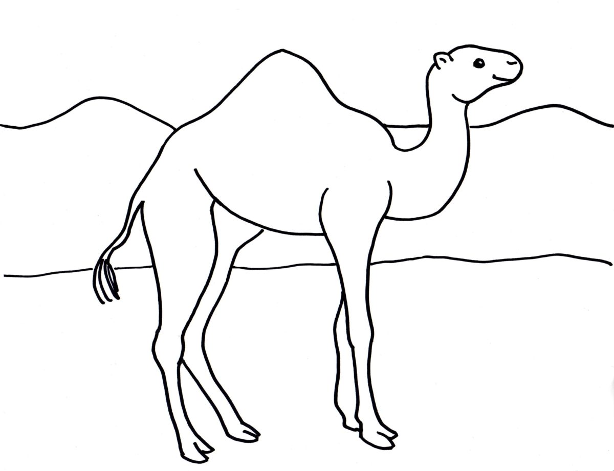 Dibujos de Desierto para Colorear - 70 imágenes para imprimir gratis