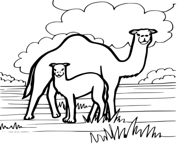 Desert Coloring Pages | 70 Pictures Free Printable