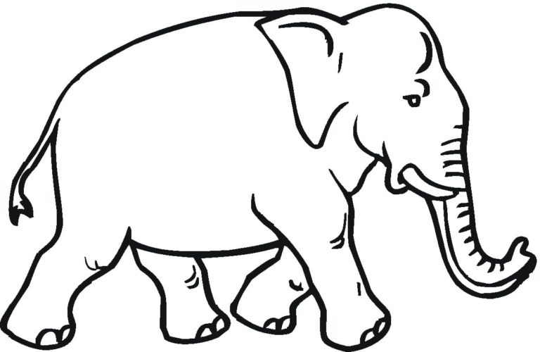 Coloriage Elephant à imprimer