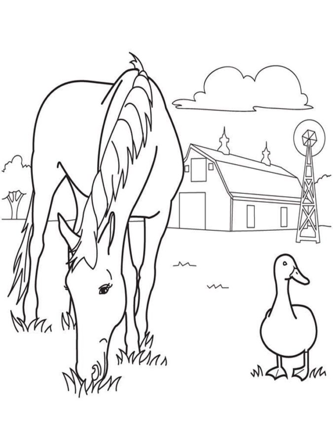 Farm Coloring Pages | 100 Pictures Free Printable