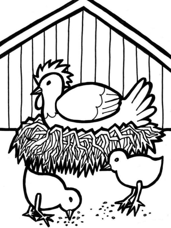 Farm Coloring Pages | 100 Pictures Free Printable