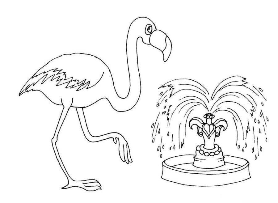 Colorat Flaming Desene Flamingos Pasare Kolorowanki Ausmalbilder ...