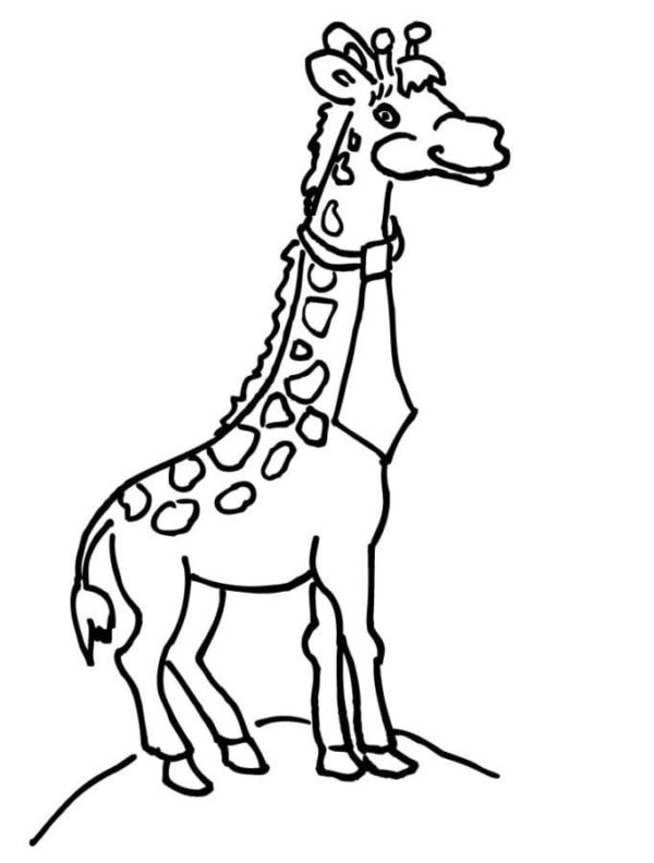 Disegni di Giraffe da colorare - 100 immagini per la stampa gratuita