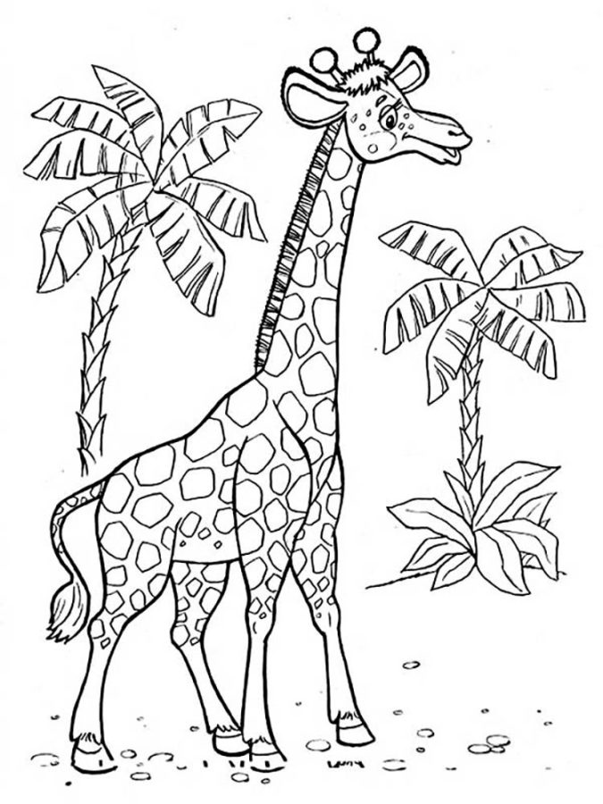 Disegni di Giraffe da colorare - 100 immagini per la stampa gratuita