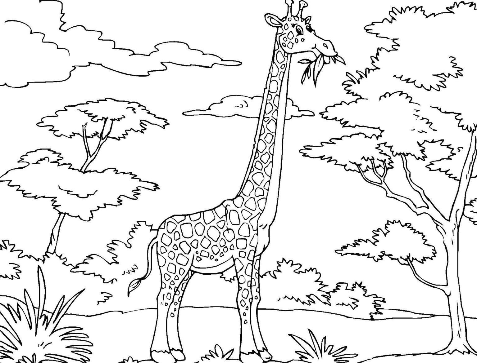 Disegni di Giraffe da colorare - 100 immagini per la stampa gratuita