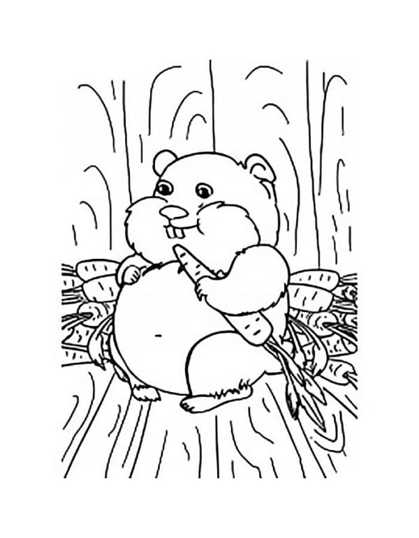 Desenhos de Hamster para Colorir