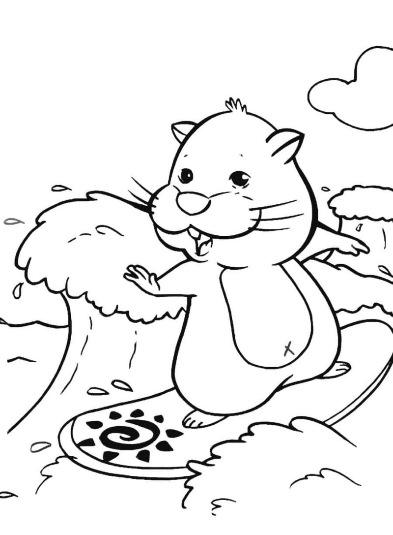 Ausmalbilder Hamster | Kostenlos Malvorlagen zum Ausdrucken