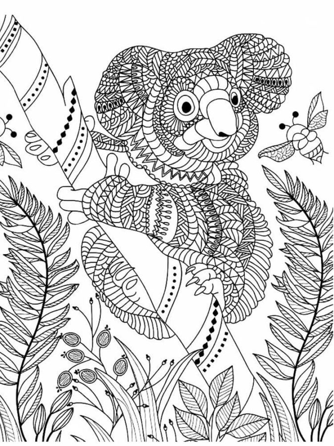Koala Coloring Pages | 100 Pictures Free Printable