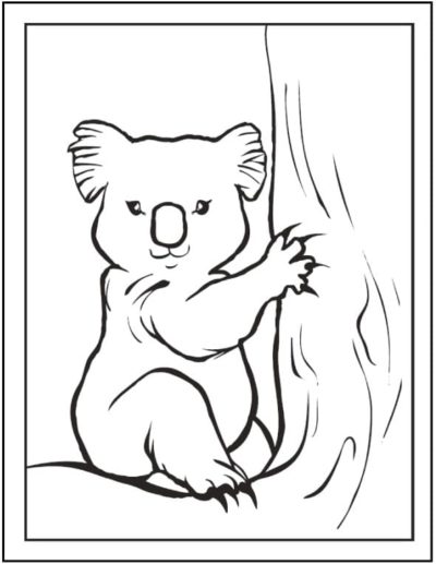 Koala Coloring Pages | 100 Pictures Free Printable
