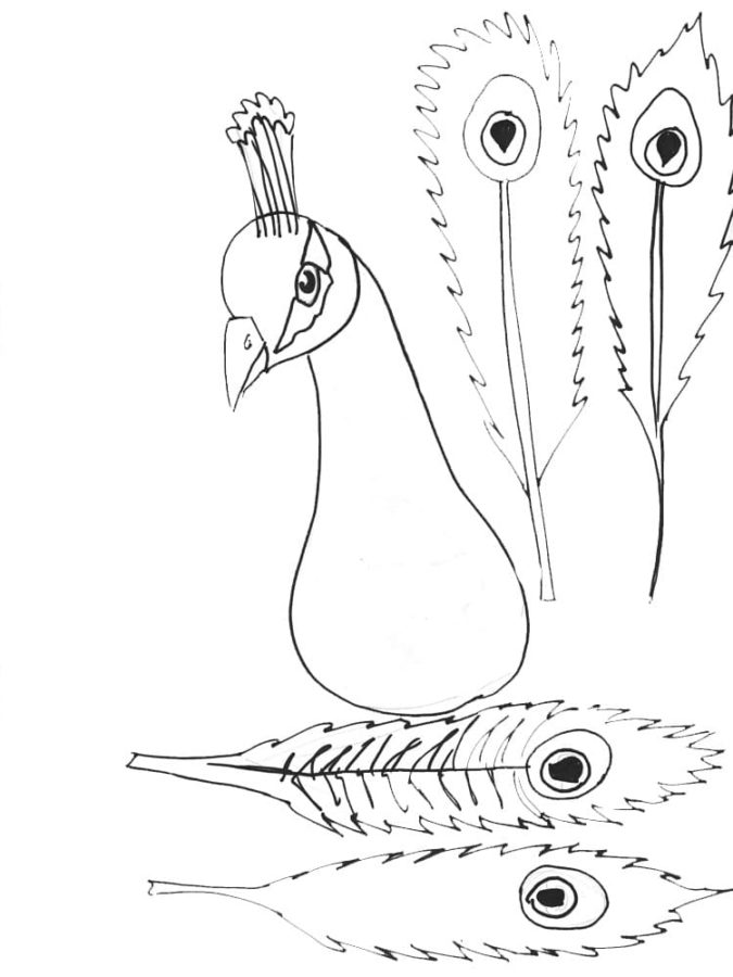 Coloriage Paon à imprimer