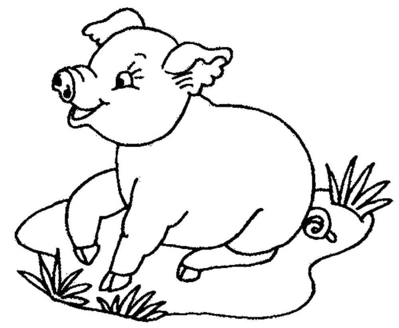 Coloriage Animaux de Compagnie à imprimer