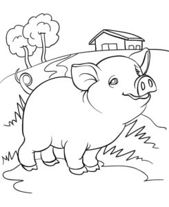 Coloriage Animaux de Compagnie à imprimer