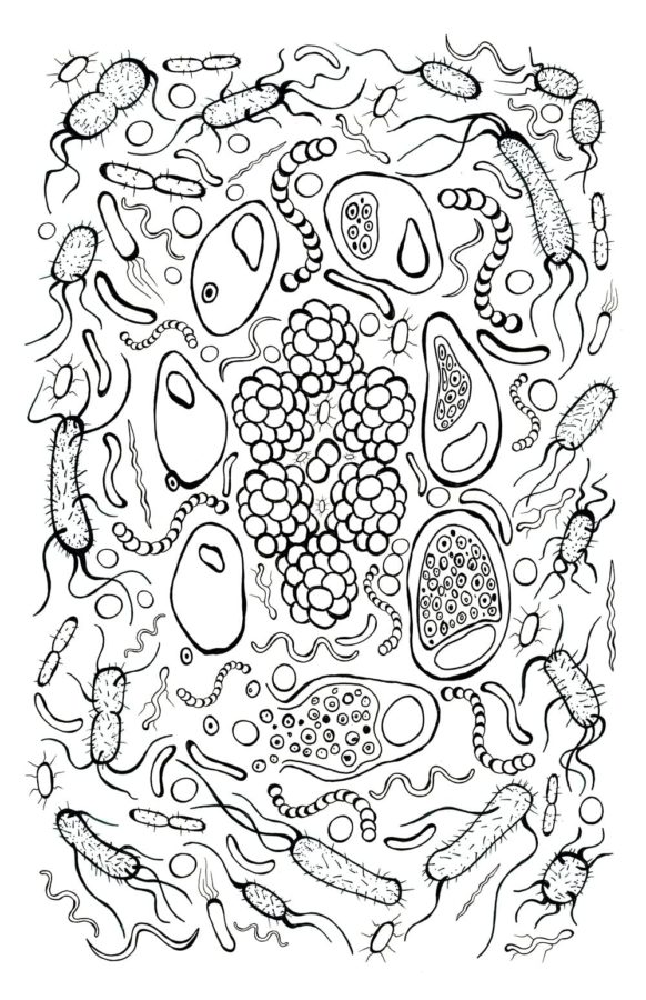 Science Coloring Pages | 100 Pictures Free Printable