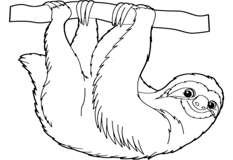 All Coloring Pages - Page 74 of 106