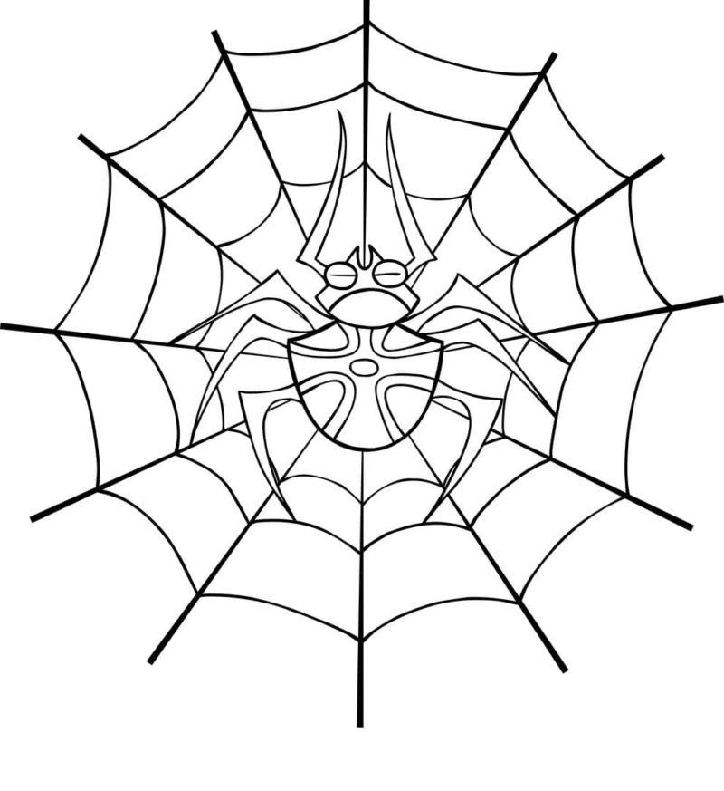 Desenhos De Teia De Aranha Para Colorir 100 Imagens Impressão Grátis