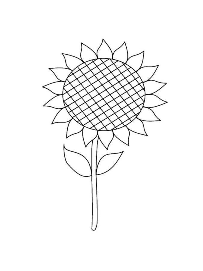 Coloriage Tournesol gratuits à imprimer