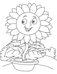 Coloriage Tournesol gratuits à imprimer