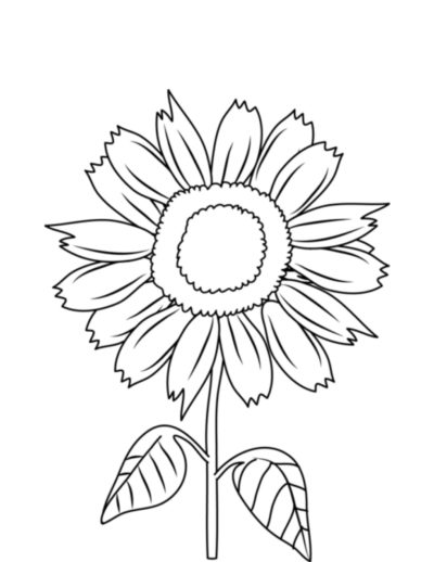 Coloriage Tournesol gratuits à imprimer