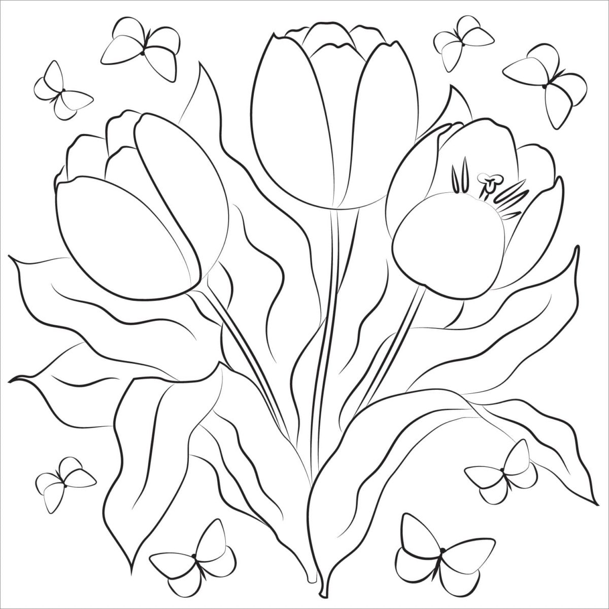 Coloriage Tulipe à imprimer