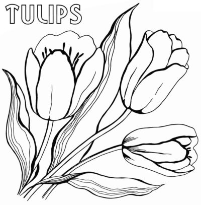 Disegno di Tulipani da colorare